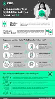 INFOGRAFIS | VIDA DIGITAL IDENTITY